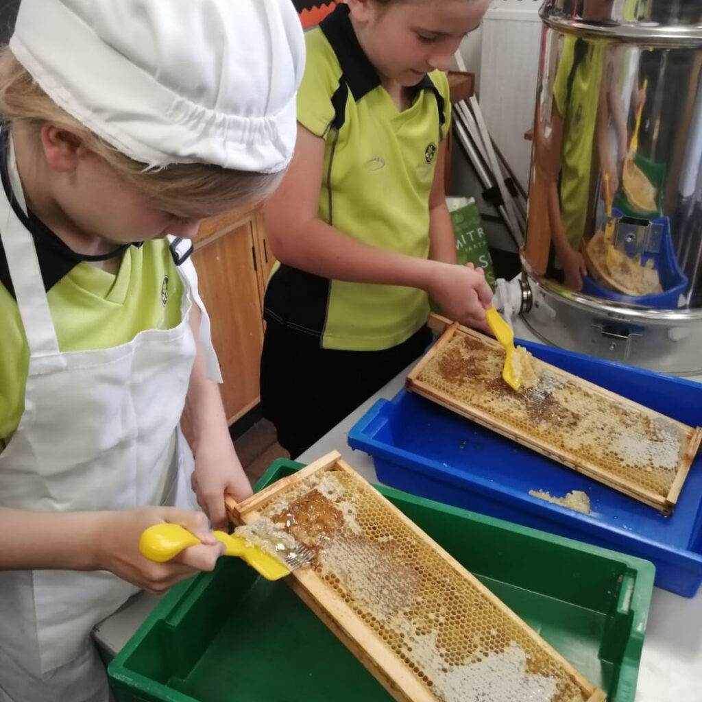 What's the buzz at Bee Club? | Croydon High School