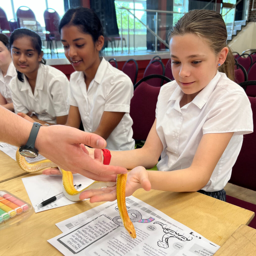 Zoolab come to visit Year 7 | Croydon High School